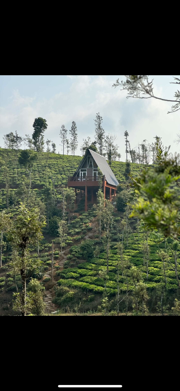 A-frame House In Wayanad - Coorg (Kodagu)