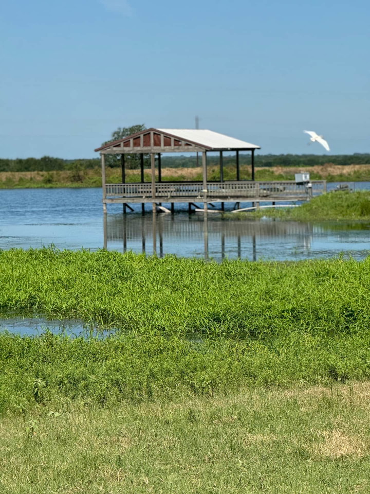 Four Paw Ranch - Navasota, TX