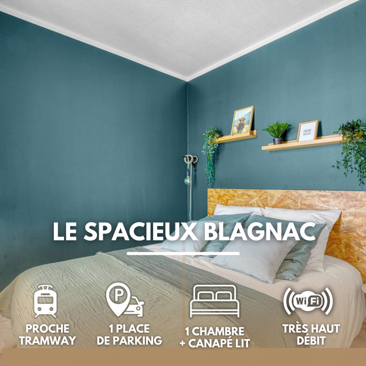 Le Spacieux Blagnac | Parking Tram Aéroport - Blagnac