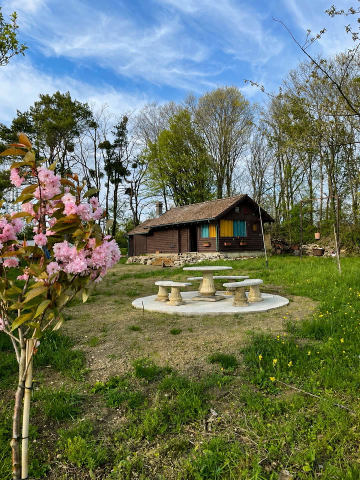 La Cabane à Papa - Retour à L'essentiel - Schwarzwald