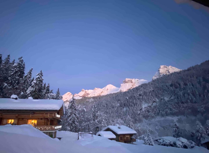 Chalet/appartement De Montagne/ski - Haute-Savoie