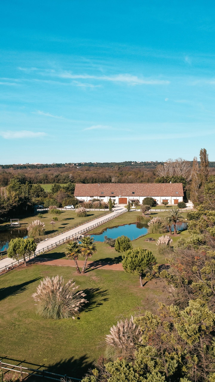 Mas Camarguais Avec Piscine 10 Personnes - Camargue