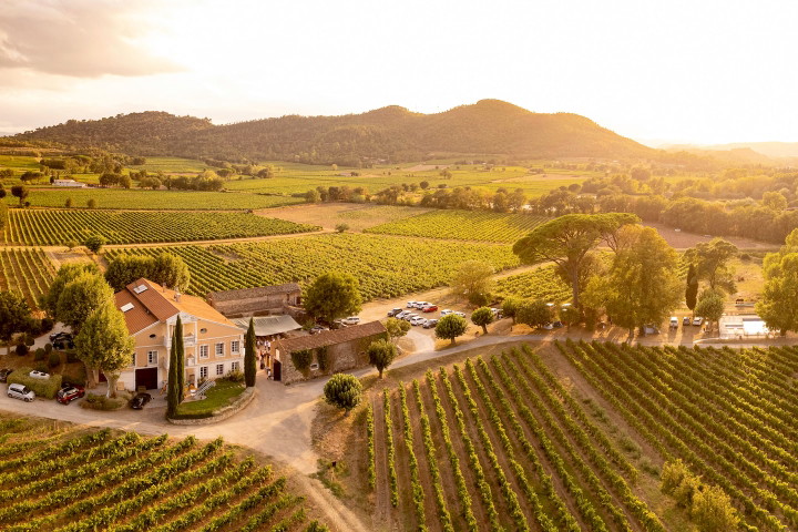Charming Cottage Surrounded By Vineyards In Provence. - Les Arcs