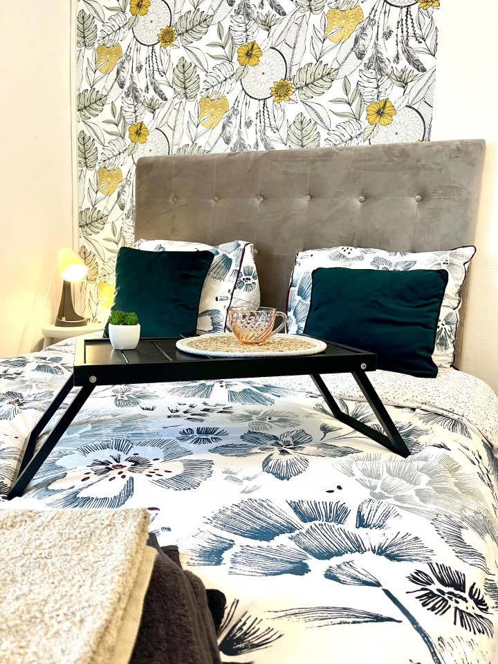 Studio Cosy Green - Valenciennes