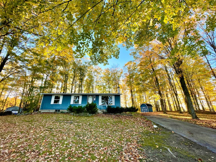Home On A Hill | Woods | Fire Pit | Game Room | Ac - East Jordan, MI