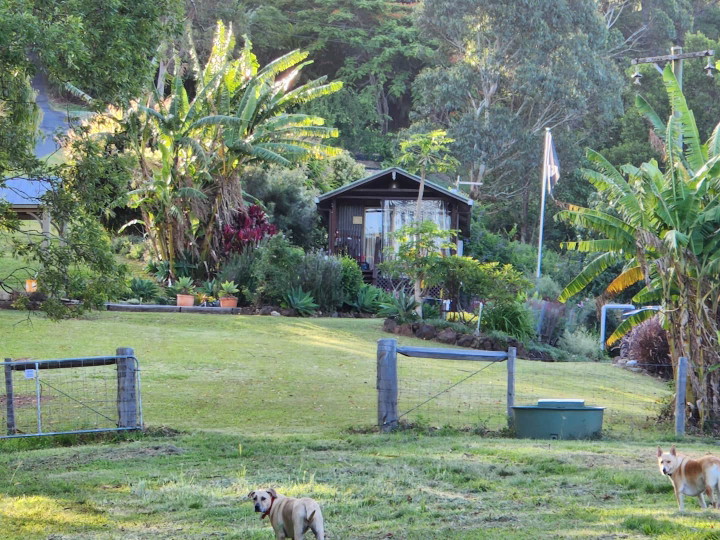Byron Bay Hinterland Cottage With Views - Mullumbimby