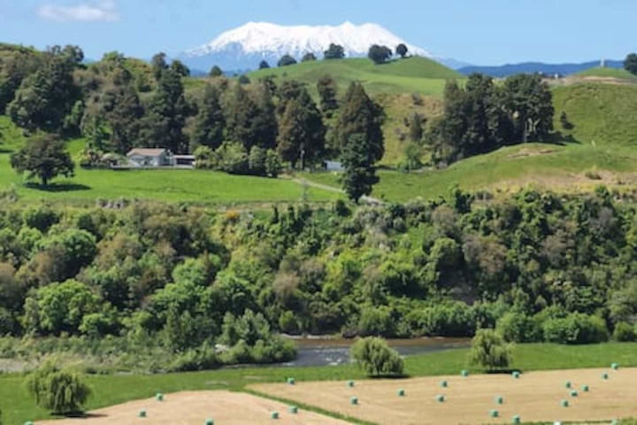 Whanganui River Hilltop Retreat - Taumarunui