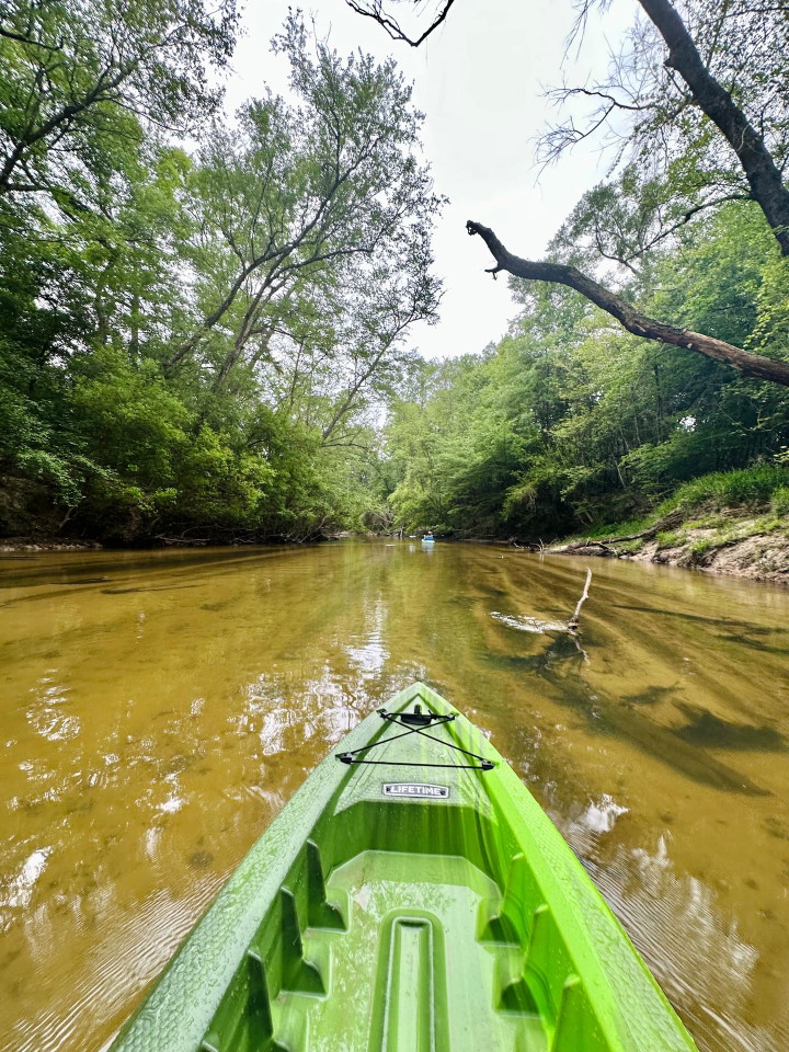 River Cabin On 20 Acres - Folsom, LA