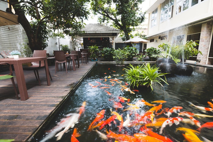 Quality Sleep In Best Location Old Town Bkk+pool - Thailand