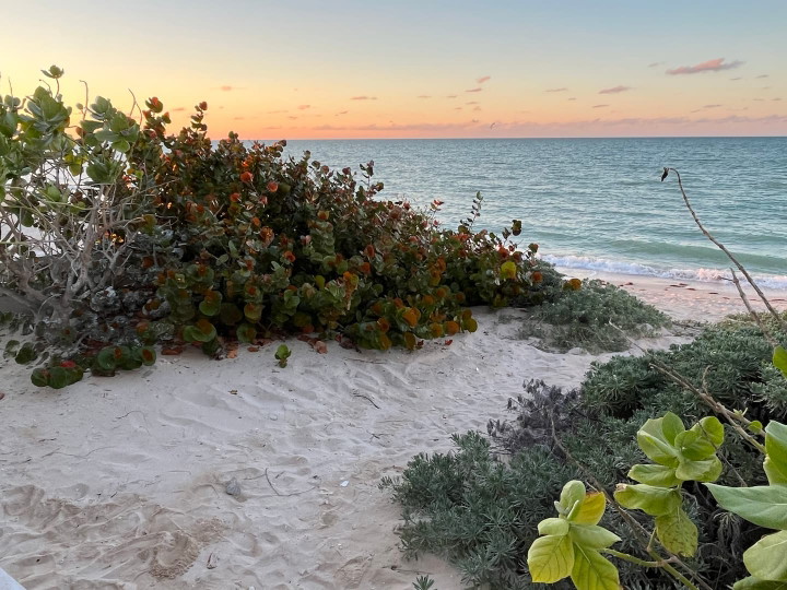 Casa De Playa Frente Al Mar - Yucatán