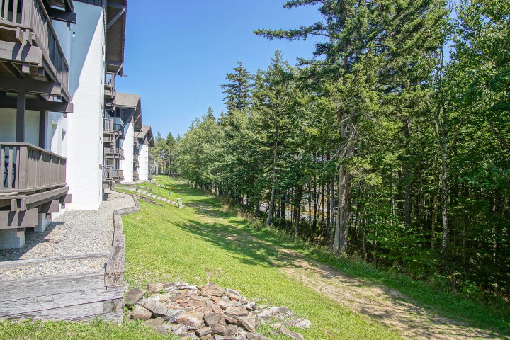 Whistlepunk # 28:  2 Bedrooms: Slopeside - West Virginia