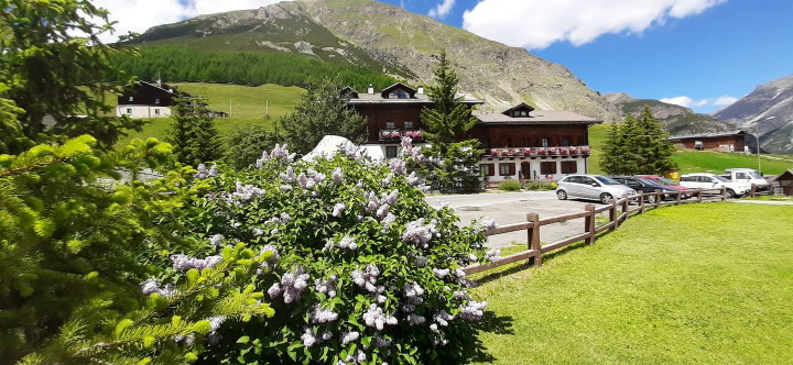 Chalet Del Sole Mono 2/3 Pax "Rin" -