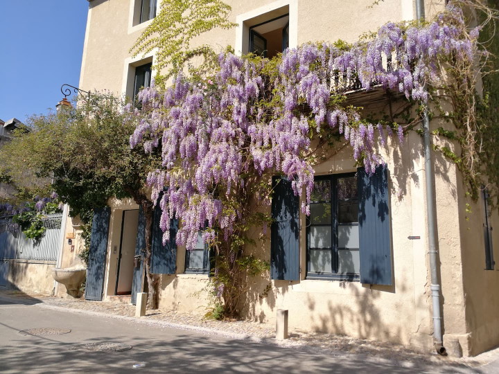 La Maison Farget - Vaucluse