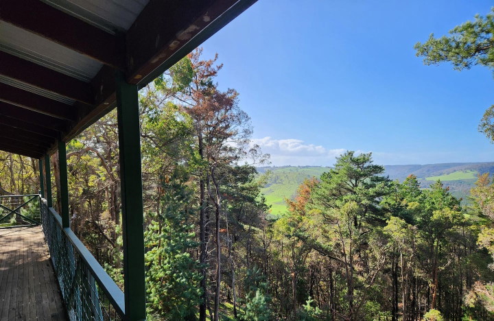 Tree Top Cottage - Nannup