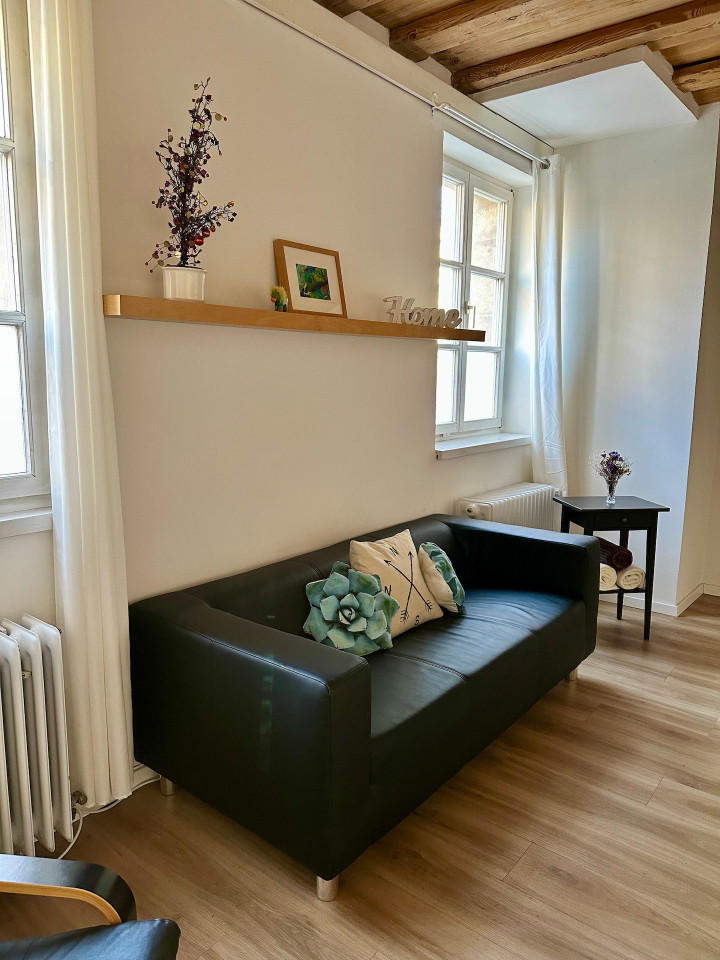 Fachwerkwohnung Im Zentralen Viertel - Nuremberg