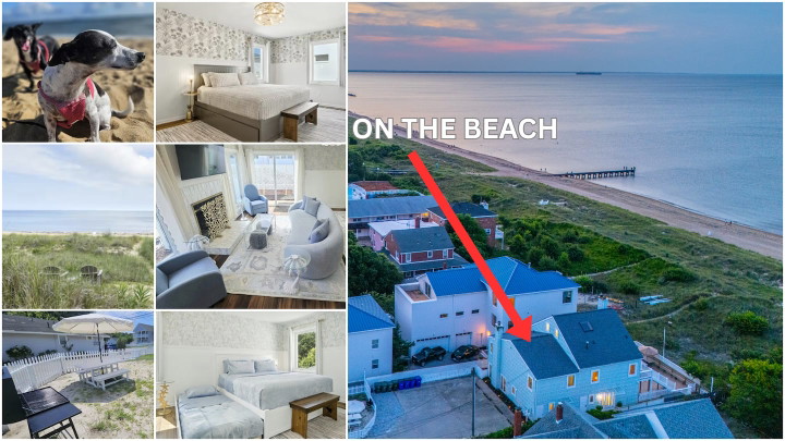 2bd+den: Beachaccess| Kingbedsi Fencedyard| Dogsok - Norfolk, VA