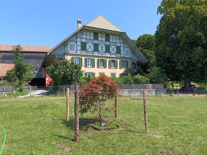 Oasis Close To Bern - Bern