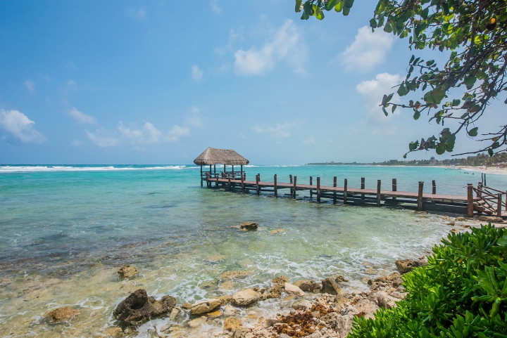 Akumal: Turtles At Your Door + Private Beach Club - Akumal
