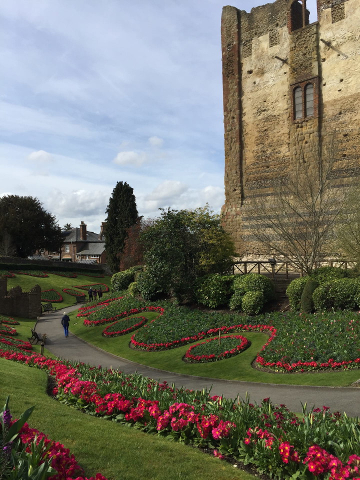 Lavender - Guildford