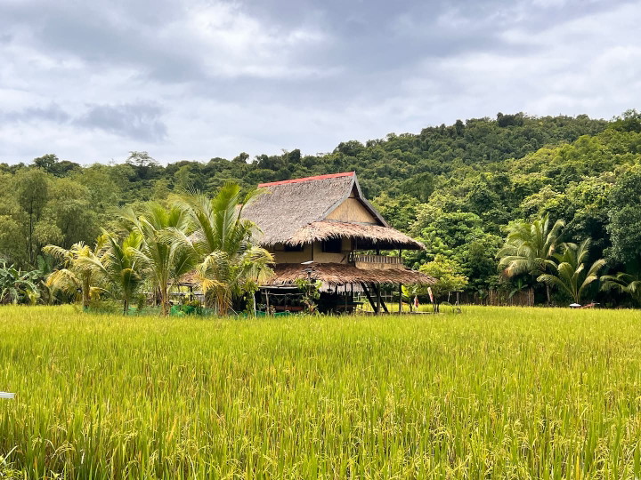 Elsie's Farmhouse In Culion Palawan - Philippines