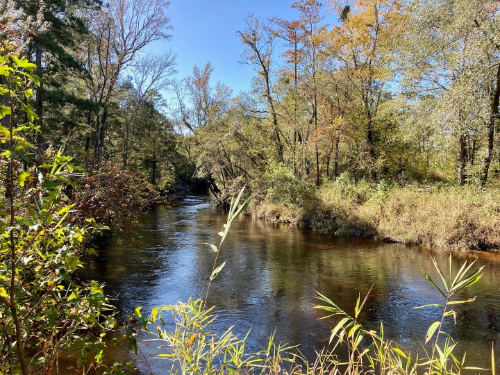 Unique Creekside 2 Acre Property In Hope Mills, Nc - Fayetteville, NC