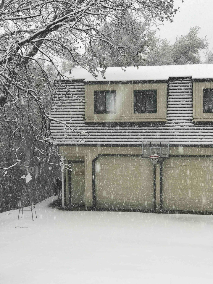 Wooded Retreat - California