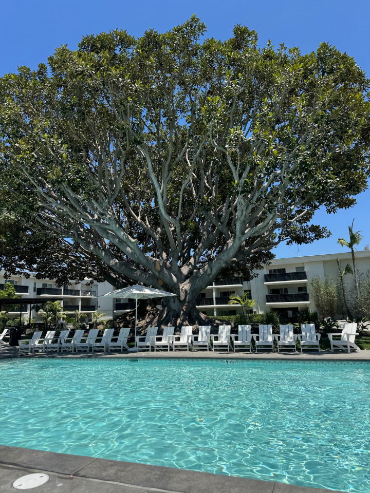 Coronado Stay By Ferry Landing - Coronado, CA