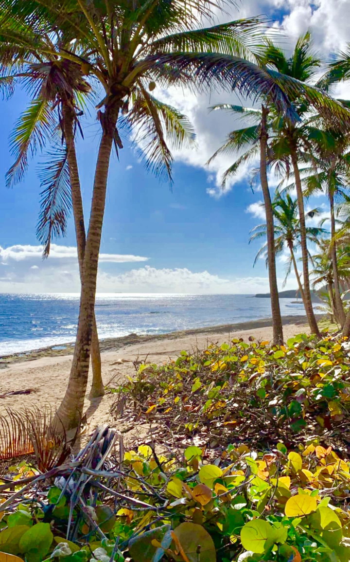 Ocean Views! Coastline & Mntn View Home In Dorado - Dorado