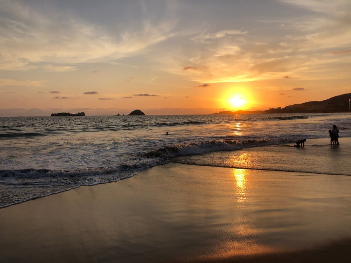 La Golondrina Chiapaneca - Ixtapa Zihuatanejo