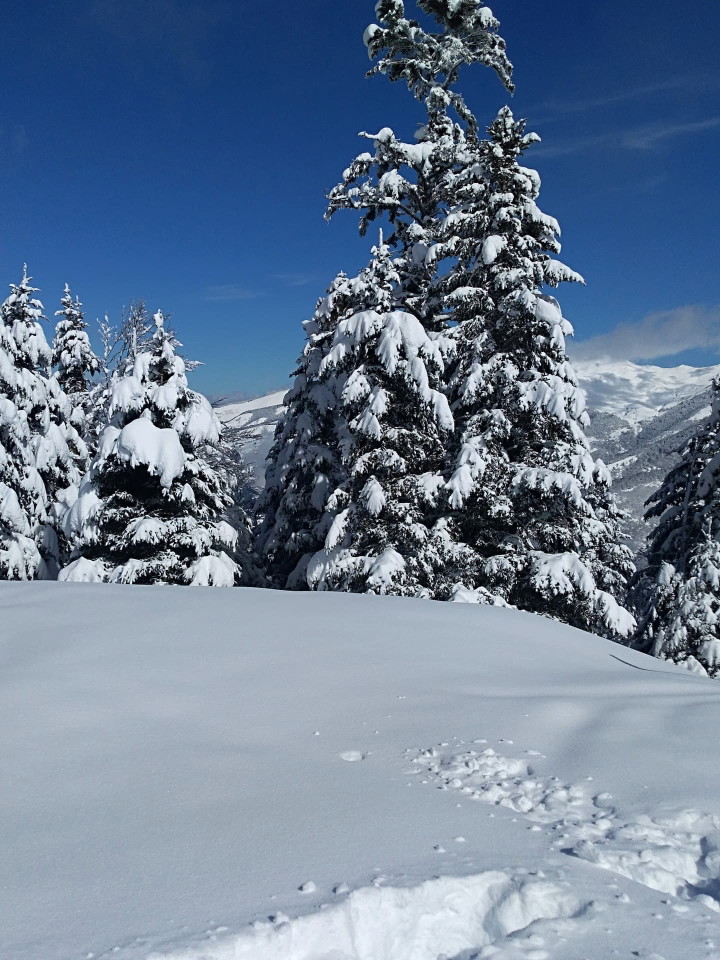 Luchon Centre 2 * Soleil Et Pyrénées   Ski Et Cure - Bagnères-de-Luchon