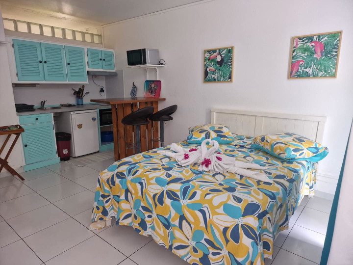 Appartement, Rez De Jardin, à 2 Pas De La Mer .... - Martinique