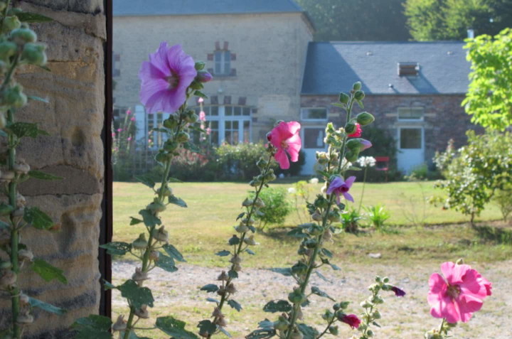 Une Vraie Maison Dans Un Village à 5km De Caen - Caen