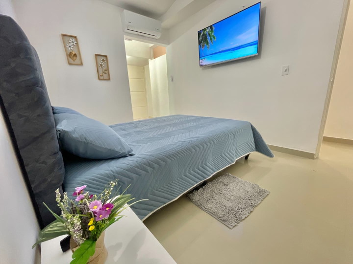 House In Florence, With Air Conditioning - Florencia
