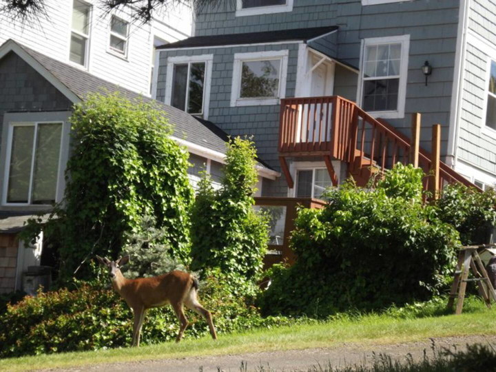 Pet-friendly Studio With Panoramic River Views - Warrenton, OR