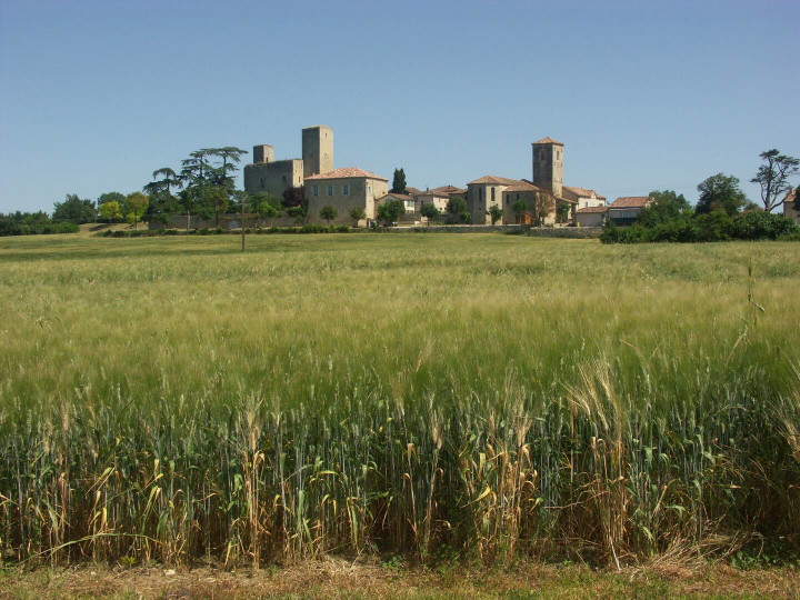 Maison Dans Un Village Du Gers - Lectoure