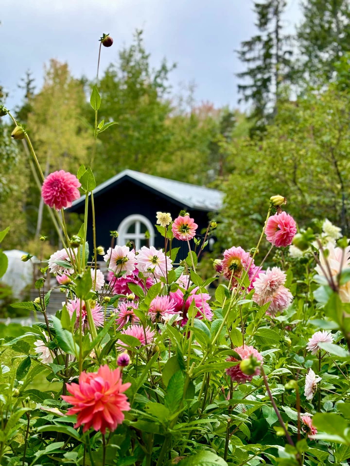 Havsnära Stuga På Vätö - Suède
