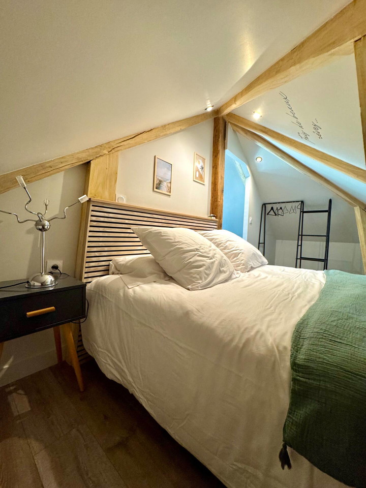 Appartement Climatisé Aux Portes De Terra Botanica - Angers