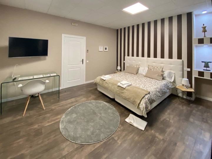 Entire Apartment In La Latina - Madrid
