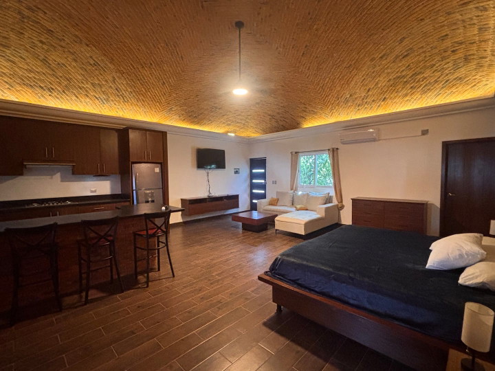 Comfortable Modern Loft  Near Tepalo And Lake - Ajijic