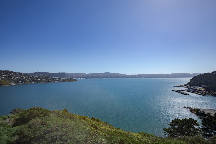Stunning Panoramic Views Of Wellington - Wellington, Nueva Zelanda