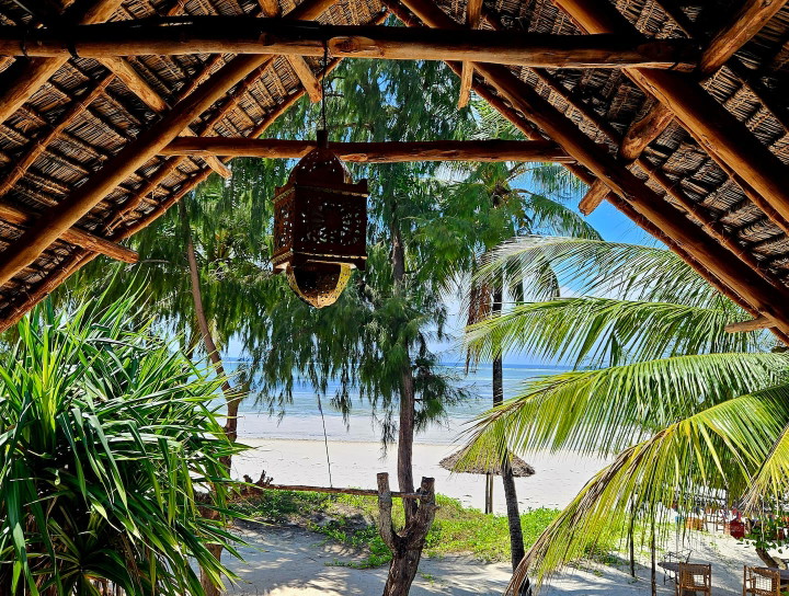 Small Size Beach Bungalows At Evergreen Bungalows - Tanzanie