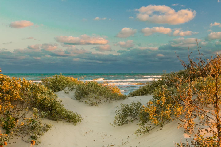 Spacious Home Steps Away From The Beach, With Pool - North Padre Island, TX