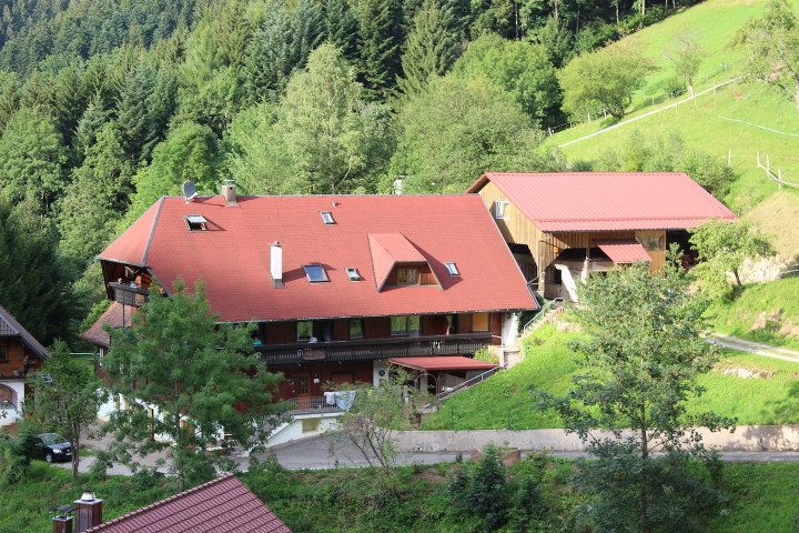 Familienwohnung Nr.6 Ferienparadies Maierbauernhof - Oberharmersbach