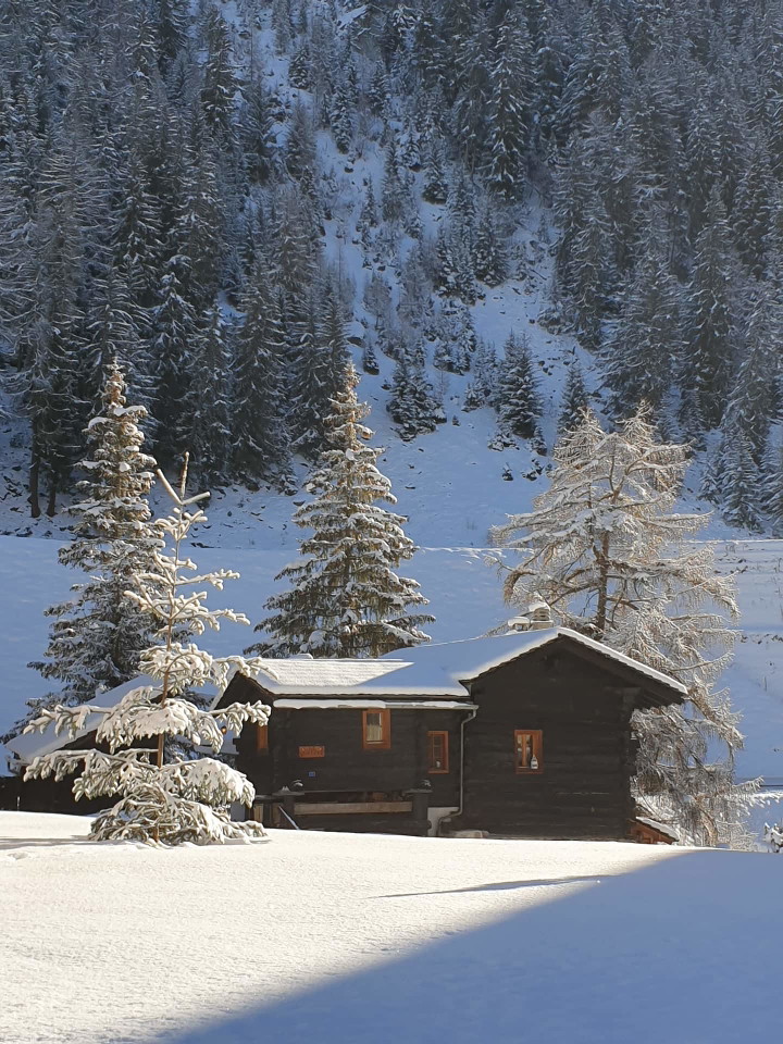 Zinal : Chalet/appartement Atypique - Zinal