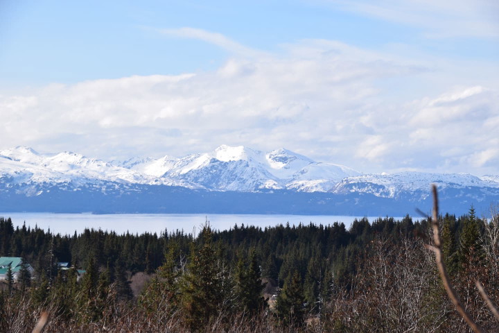 Homer  Hideaway - Alaska