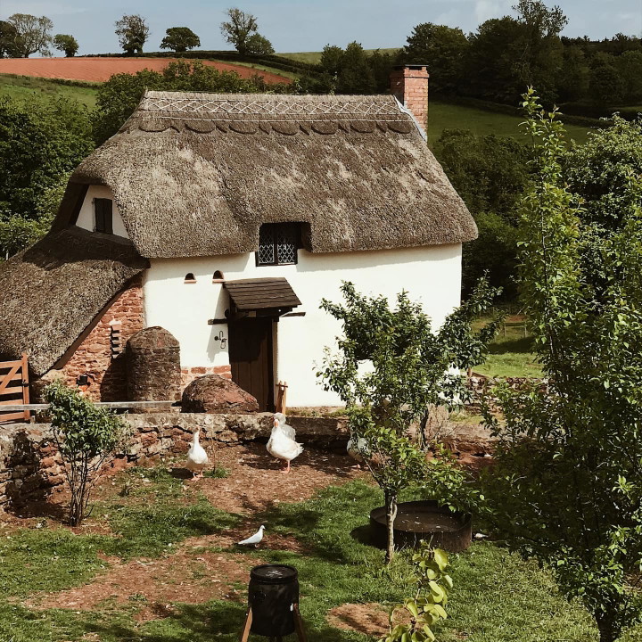 Idyllic Luxury Thatched Cottage On Devon Farm - Newton Abbot