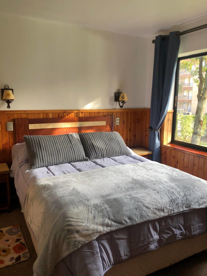 Cozy Apartment In Pucón - Pucon