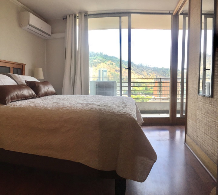 Cozy And Best Location In Providencia Down Town. - Santiago, Chile