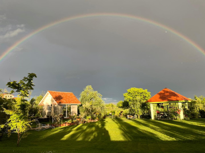 Lush Garden Villa Near The River - Bucarest