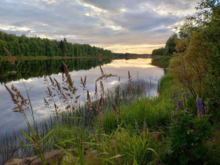 Cozy And Peaceful Riverside Home & Sauna - Oulu